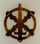 Belgian WW2 Rexist Walloon Fascist Honour Badge Award Bronze grade.